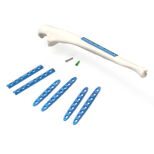 Large bone fragment compression plate - Jeil Medical Corporation ...