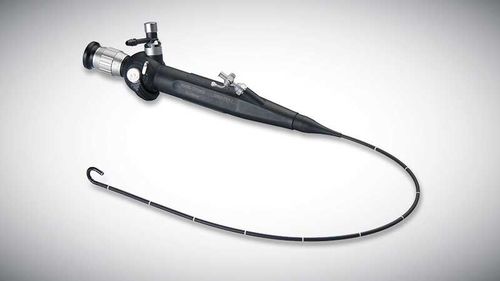 Optical veterinary bronchoscope - KARL STORZ - for small animals / with ...