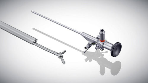 Small animal veterinary choledochoscope - KARL STORZ