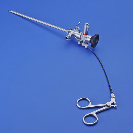 Veterinary cystoscope - KARL STORZ - rigid