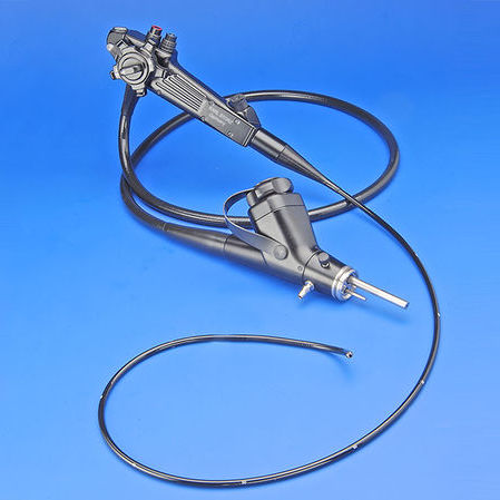 Veterinary gastroscope - KARL STORZ - veterinary bronchoscope / rigid ...