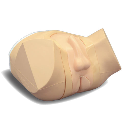 Prostate examination simulator - MW20 - Kyoto Kagaku - rectal examination / for urological care ...