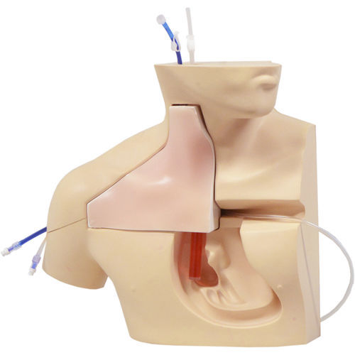 CVC simulator - M93C - Kyoto Kagaku - training / palpation / for ...