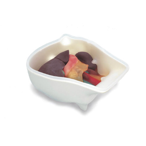 Echo-endoscopy test phantom - IOUSFAN - Kyoto Kagaku - abdomen