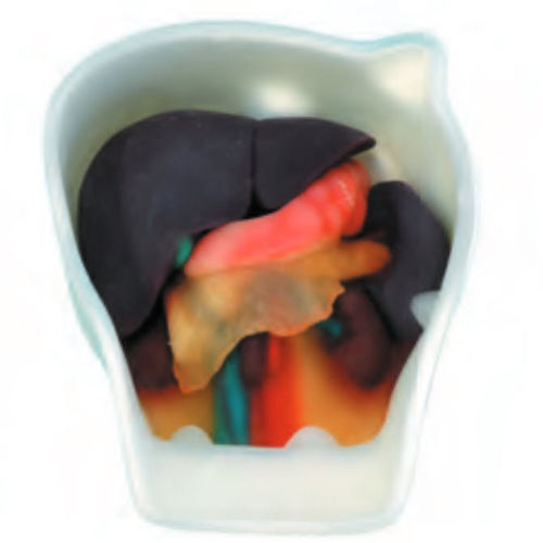 Echo-endoscopy test phantom - US-3 IOUSFAN - Kyoto Kagaku - abdomen