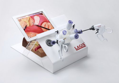 Laparoscopy simulator - Lagis Endosurgical - workstation