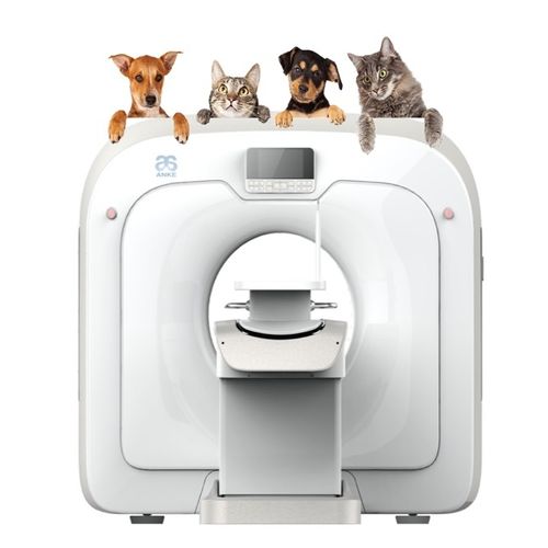 Veterinary CT scanner - ANATOM Vet - Shenzhen Anke High-tech - for pets