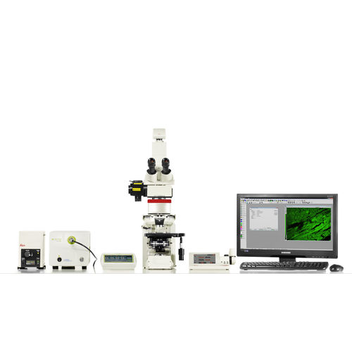 Fluorescence microscope - DM6 FS - Leica Microsystems - optical ...