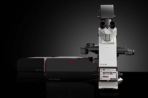 Optical microscope - STELLARIS STED - Leica Microsystems - laboratory ...