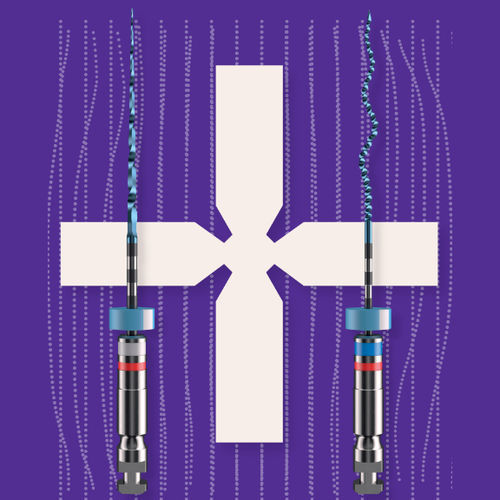 Rotary endodontic file - XP-endo® Rise - FKG Dentaire - root canal shaping