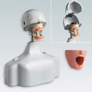Dental care patient simulator - PK-2 TSE - frasaco - head