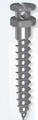 Cylindrical dental mini-implant - 25-1610 series - Dewimed ...
