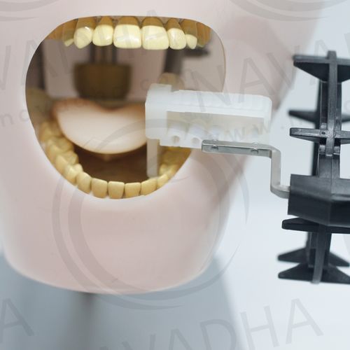 Dental radiography test phantom - NA252 - Navadha Enterprises - jaw