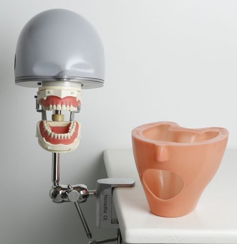 Training simulator - Myphantom - Navadha Enterprises - dental / head ...