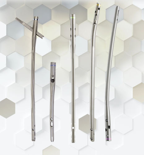 Femoral intramedullary nail - Zimmer Biomet - tibia / proximal fixation ...