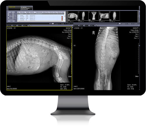 Web-based PACS - Infinitt Healthcare - veterinary