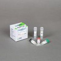 Reverse transcriptase reagent kit - Rocketscript™ - Bioneer Corporation ...