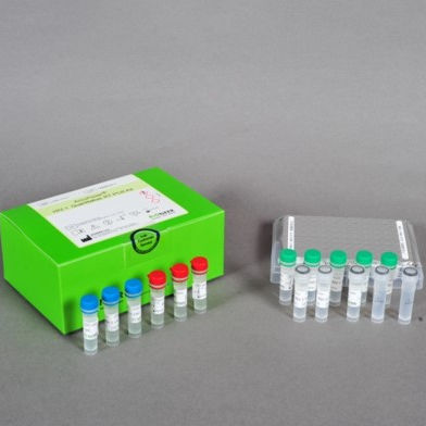 Hepatitis C test kit - AccuPower® - Bioneer Corporation - for ...