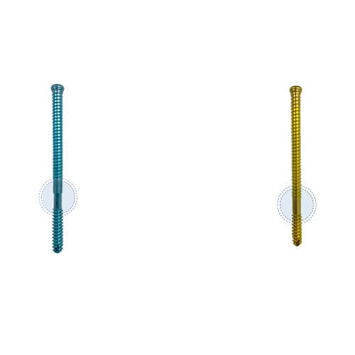 Femur compression bone screw - TDM - titanium