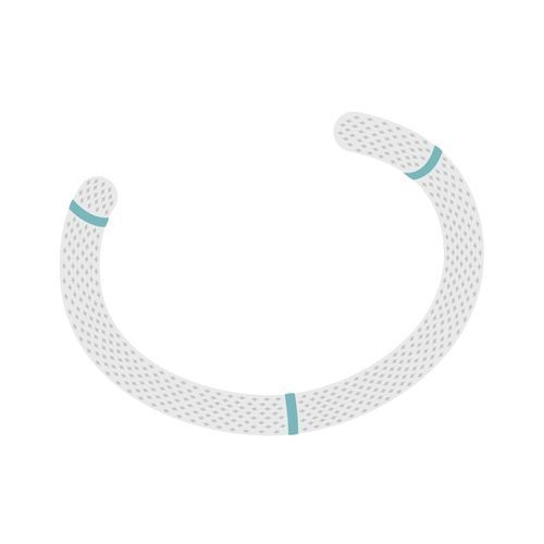 Mitral annuloplasty ring - Physio Flex - Edwards Lifesciences