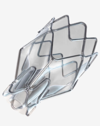 Endobronchial valve bioprosthesis - ZEPHYR® - pulmonX - sutureless