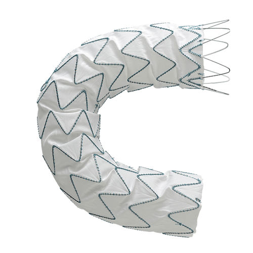 Ascending thoracic aorta stent graft - RELAY® - Terumo Aortic - nitinol