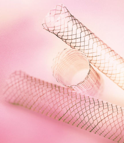 Tracheal stent - Bonastent - Asept Inmed - bronchial