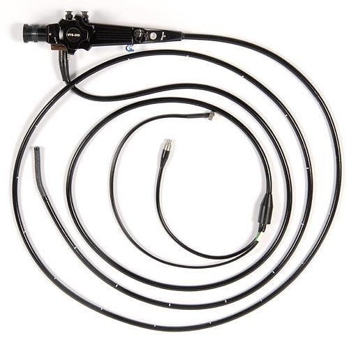 Veterinary gastroscope - VFS-300 - VetVu