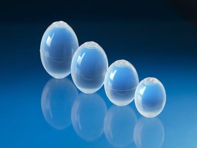 Testicular implant - KiWee® - Coloplast - anatomical / silicone / saline