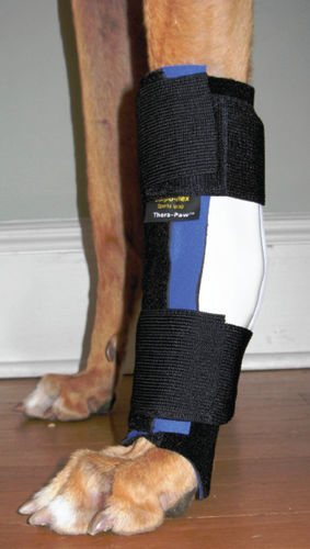Carpal tunnel veterinary splint - J1004QL - Jorgensen Laboratories