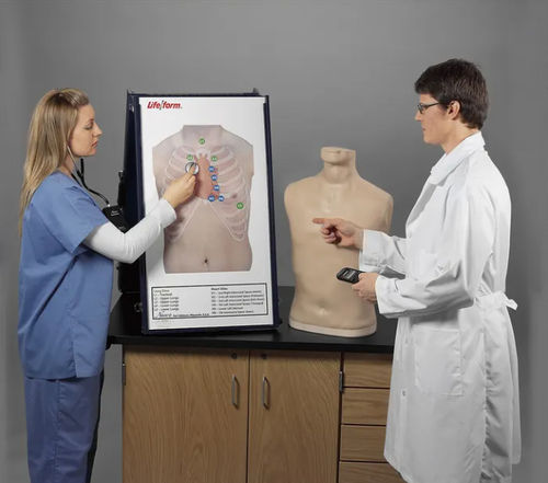 Auscultation simulator - Life/form® - Nasco - training / for health ...