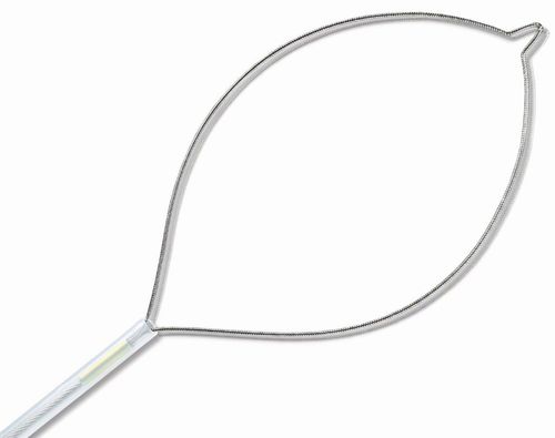 Intestinal polyp extraction endoscopic basket - AS2865023 - STERIS ...