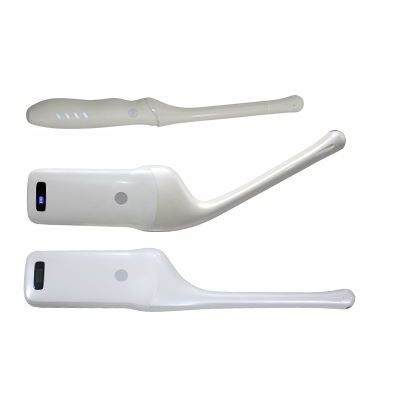 Hand-held ultrasound system - Sonostar Technologies - for endovaginal ...