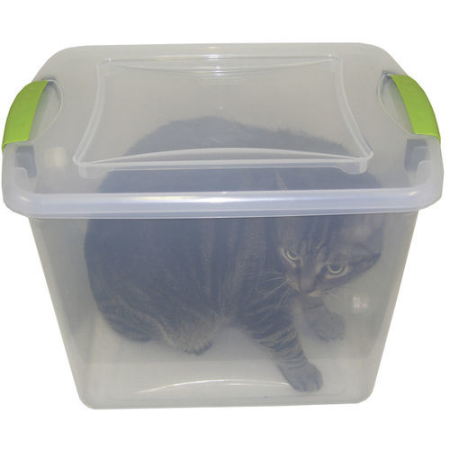 Anesthesia induction chamber - 90200 - A.M. Bickford