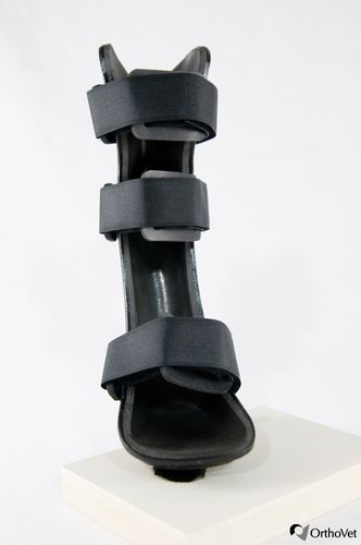 Paw veterinary splint - Rear - OrthoVet - for canines