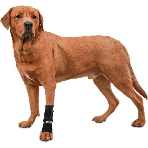 Paw veterinary splint - Walkin' Pets - for dogs