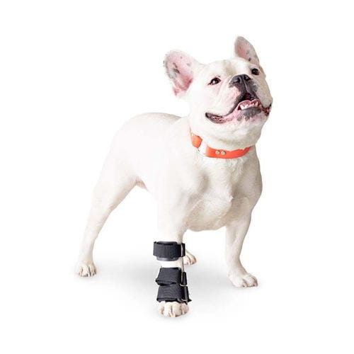Paw veterinary splint - Walkin' Pets - carpal tunnel / wrist