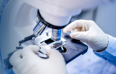 Analysis software - SoftPathDx® - SCC SOFT COMPUTER - reporting ...