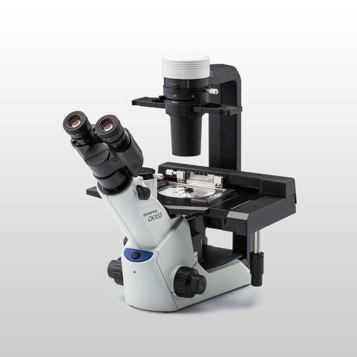 Inverted microscope - CKX53 - Evident - Olympus Scientific Solutions - optical / laboratory ...