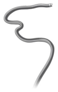 Guiding microcatheter - Sofia® Plus® - MicroVention - neurovascular / human