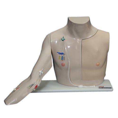 Vascular access simulator - Chester Chest™ - VATA, Inc. - intravenous ...