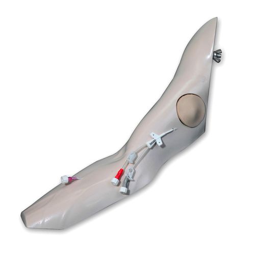 Infusion simulator - 2386 - VATA, Inc. - training / for general care / arm