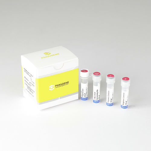 Cancer rapid screening test - PNACIamp™ - Panagene Inc. - oncology ...