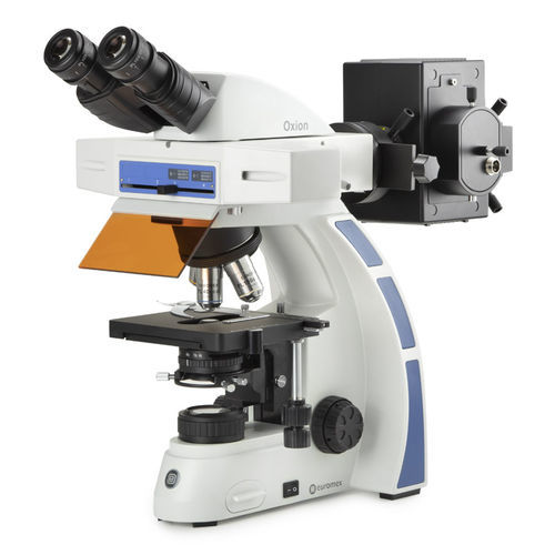 Fluorescence microscope - Oxion - Euromex - optical / biological / medical