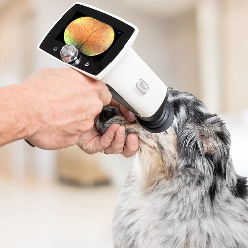 Veterinary retinal camera - Aurora - Optomed - hand-held