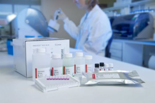 Hepatitis C test kit - INNOTEST® - Fujirebio - HCV / serum / plasma