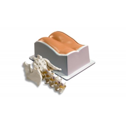 Fluoroscopy test phantom - 034 - CIRS - spine