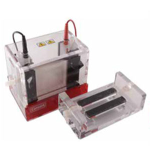 Automated electrophoresis tank - EVS3 series - Consort - vertical