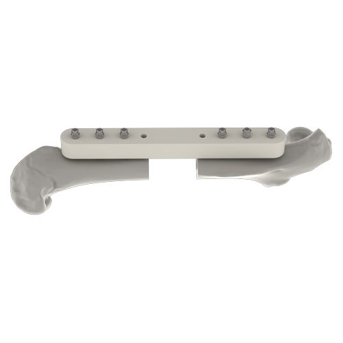 Femur veterinary bone plate - RatFix - RISystem AG - for rats