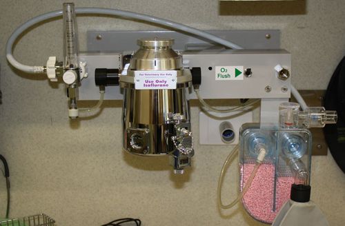 Wall-mounted veterinary anesthesia workstation - Miden Medical